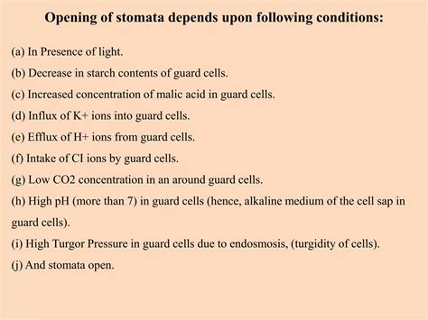 Stomatal Physiologypptx