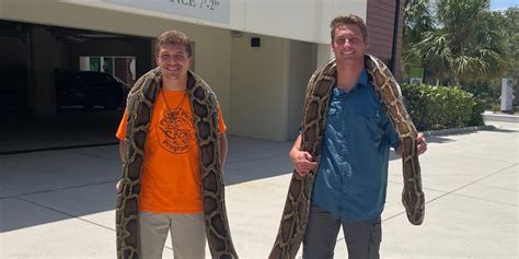 Python Hunter Caught Longest Burmese Python Check Out The Pictures