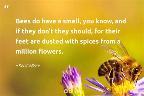 68 Bee Quotes Buzzing With Lessons And Reminders 2025