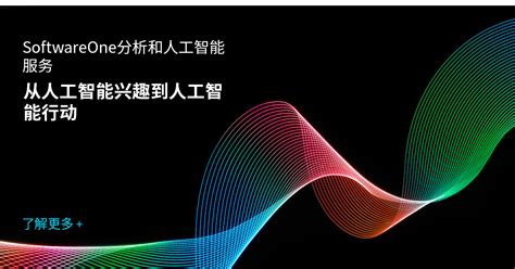 分析和人工智能服务 Softwareone