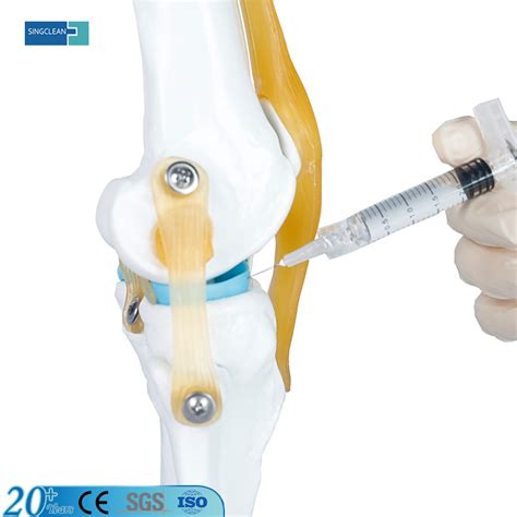 China Supply Injection Hyaluronic Acid Knee Joint Injection Intra