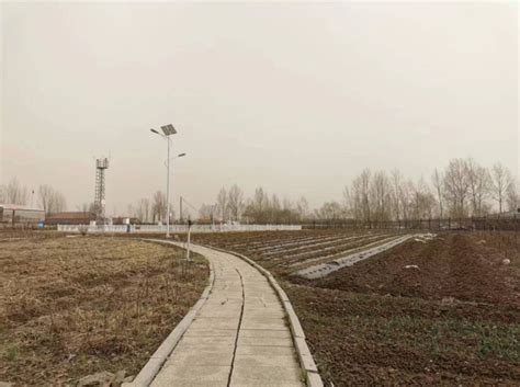 聚焦丨沙尘为啥频繁来袭沙尘天气何时结束吉林省气象局权威回应 中国吉林网