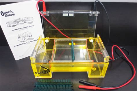 Owl Easycast B2 9 Dna Agarose Gel Electrophoresis System Tray 3 Com