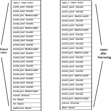 Fine Tuning Of Vgg19 By Replacing And Training The Last Layer Download Scientific Diagram