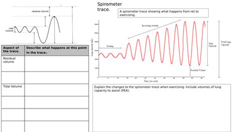 Aqa Gcse Pe 2016 Grades 9 1 Spirometer Trace Teaching Resources