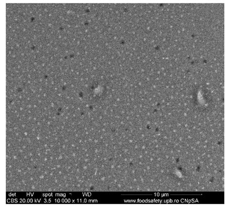 Sem Image Of 1 Rgo Sio2 P2o5 Glass Download Scientific Diagram