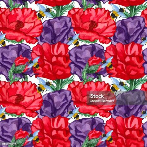 흰색 배경에 빨간색 보라색 양귀비와 원활한 패턴 꽃 싹과 잎 손으로 수채화로 그려져 있습니다 컬러 양귀비 꽃과 꿀벌 끝없는 패턴 0명에 대한 스톡 벡터 아트 및 기타 이미지