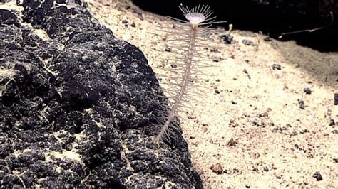 Equal Times Annick Berger