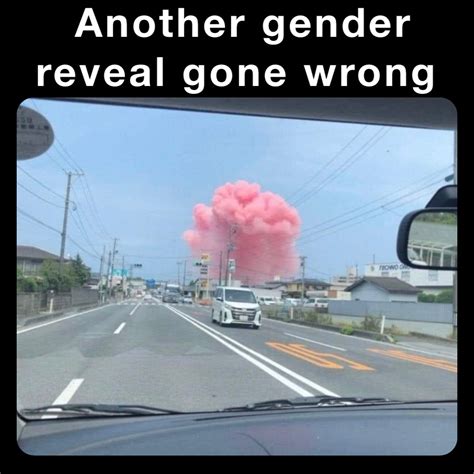 Another Gender Reveal Gone Wrong Thememinator Memes