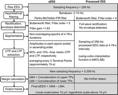 Methodological Overview Of Different Steps Among Two Data Processing Download Scientific