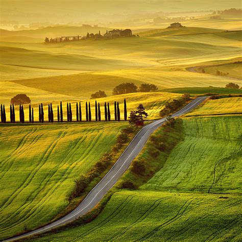 Фотообои Moda Interio арт 3-026 MI купить на сайте Обойкин