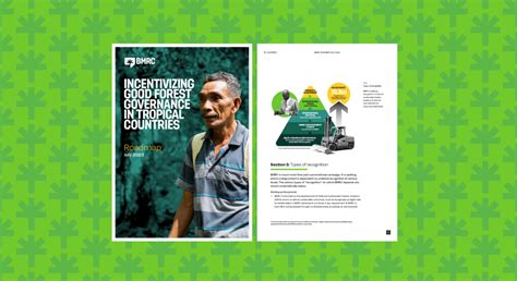 Roadmap Bmrc Tropical Countries Promoting Sustainable Forestry