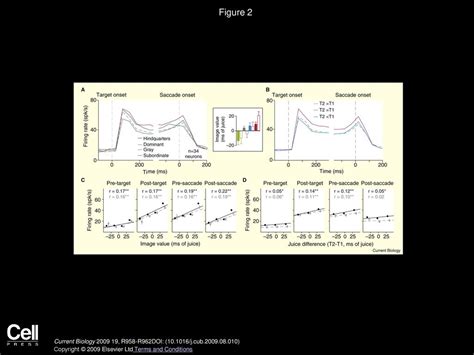 Social Attention And The Brain Ppt Download