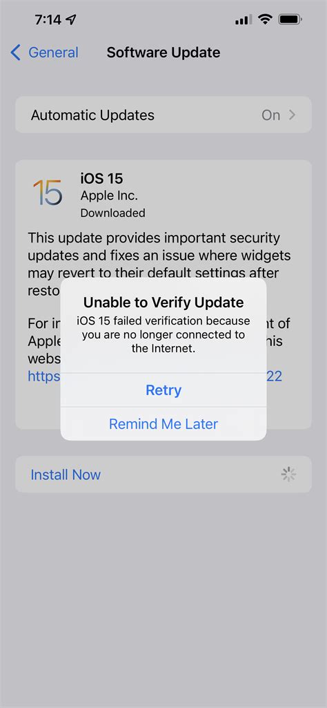Apple Security Update 2024 Karon Brunhilde