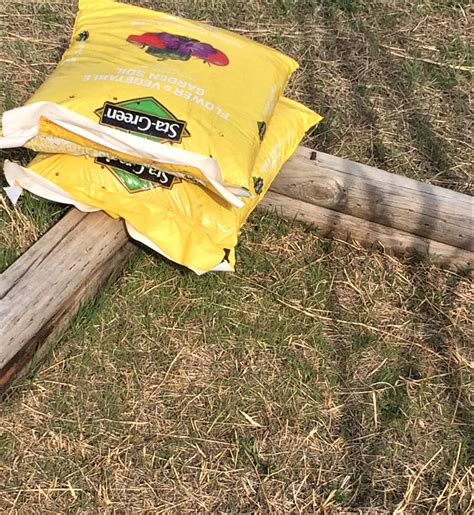 Removing Grass For Planting Planters Place