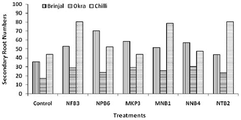 Inoculation Effect Of Pgpr Strains On Secondary Root Numbers Seedlings