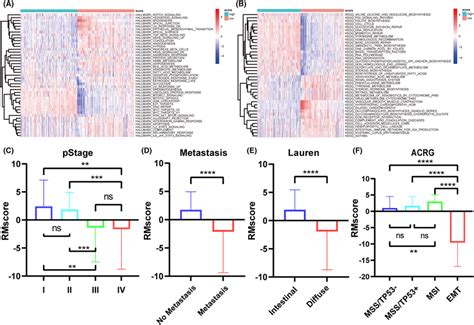 Clinical Significance And Gsva Functional Enrichment Of Rmscore Model Download Scientific