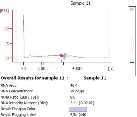 Electropherogram Provided By The Agilent 2100 Bioanalyzer Showing A