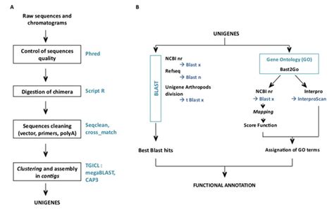 Sequence Treatment A And Functional Annotation Procedure B Download Scientific Diagram