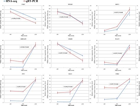 The Validation Of Differentially Expressed Genes By QPCR Download Scientific Diagram