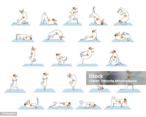 스포츠 끝점으로 잭 러셀 테리어 캐릭터와 요가 포즈 또는 아사나 세트 흰색 배경에 고립 된 개와 벡터 스톡 일러스트를 윤곽