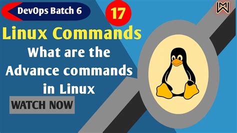Session 17 Linux Advance Linux Commands Batch 6 Technomarathiwithmw Devopslover Youtube