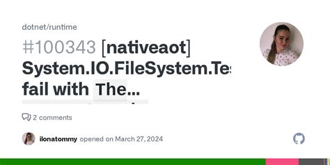 Nativeaot Systemiofilesystemtests Fail With `the Parameter Is Incorrect` · Issue 100343