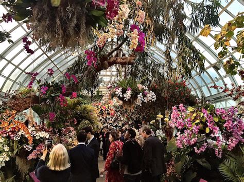 Ny Botanical Gardens Orchid Show Features 20000 Blooms By Masked
