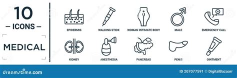 Medical Linear Icon Set Includes Thin Line Epidermis Woman Intimate