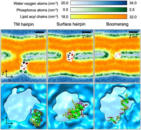 Partial Atomic Densities Across Stalk In Xz Plane Upper Row And