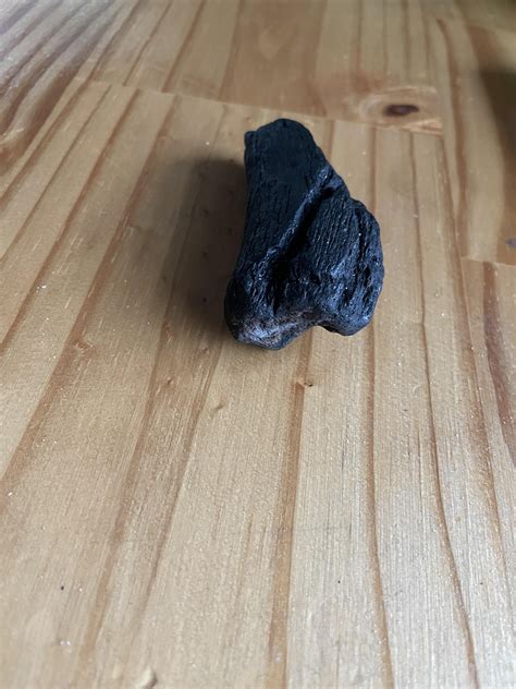 Possible Bone Fragment Found On The Beach R Fossilid
