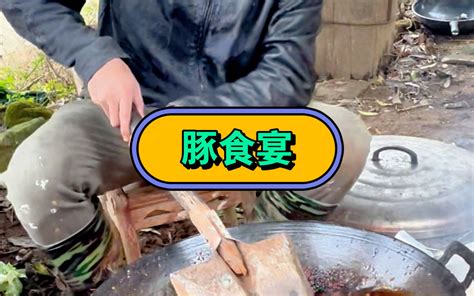 家中的猪正值青年，需要好好补一补 阳弟在路上 阳弟在路上 哔哩哔哩视频