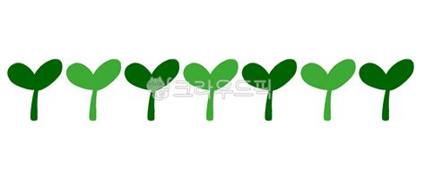 새싹 식물 새싹그림 새싹아이콘 자연 사진 이미지 일러스트 캘리그라피 레몬쓰작가