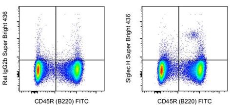 Siglec H Monoclonal Antibody Ebio440c Super Bright™ 436 Cytek Biosciences
