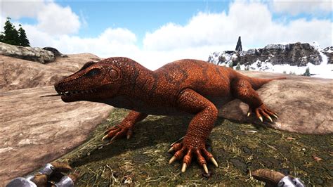 First Mutation Need Help On Identifying Which Color Is The Mutated One