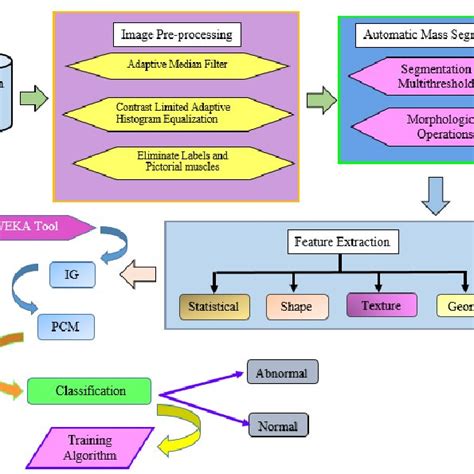 Diagram For Proposed Automatic Diagnosis Of Breast Cancer Identification Download Scientific