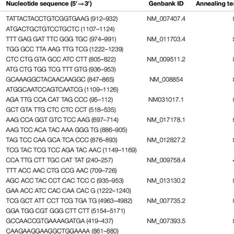 Nucleotide Sequences Amplification Sites Genbank Accession Numbers Download Scientific