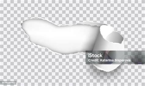 투명한 배경에 압연 가장자리와 벡터 현실적인 찢어진 종이 텍스트 또는 디자인프레임 종이에 대한 스톡 벡터 아트 및 기타 이미지 종이 찢겨진 코너 Istock