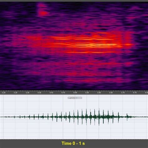 Recording 1 Spectrogram And Time Display Of Part R1 2 Time Scale 0 1 Download Scientific