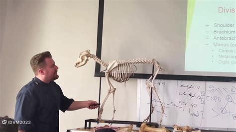 پارت اول جلسه سوم آناتومی سیستماتیک 1 استاد دکتر اریک آغاجی