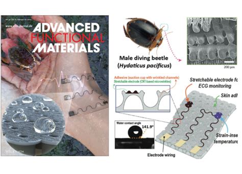 Tough Carbon Nanotube Implanted Bioinspired Three Dimensional Electrical Adhesive For