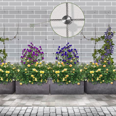 Stainless Steel Trellis For Climbing Plants Syste Grandado