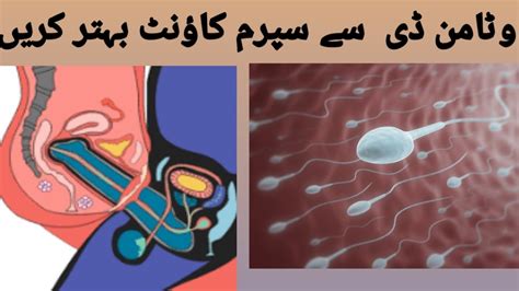 Why Vitamin D Is Important For Body Vit D And Sex Life M Tech MLTHubwithkamran YouTube