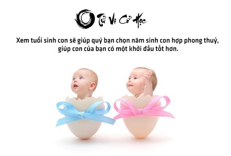 Xem Tu I Sinh Con H P Tu I B M Ch Nh X C T Vi C H C