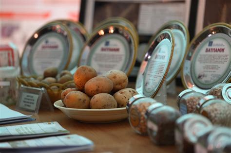 Ерөнхийлөгч У Хүрэлсүх “Хүнсний хувьсгал” ын хүрээнд Дархан Уул аймагт ажиллалаа