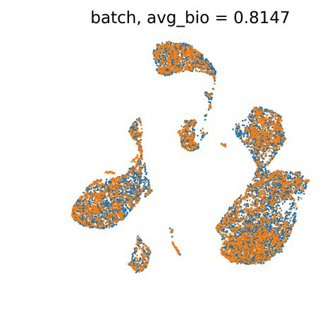 Scgpt Run Finetuneintegrationpy Scgpt Weights And Biases