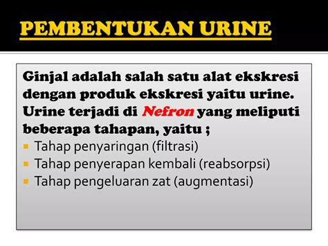 Biology Tahapan Pembentukan Urine Pptx