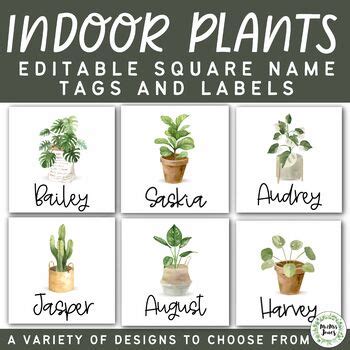 Indoor Plants Square Classroom Name Tags And Labels EDITABLE TPT