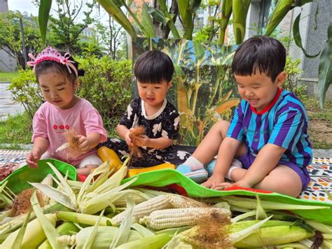 재미있고 신나는 옥수수 오감놀이 네이버 블로그
