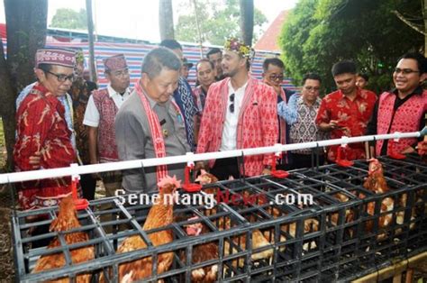 Koperasi Produsen Keling Kumang Agro Stand Terbaik Di Kkf 2024